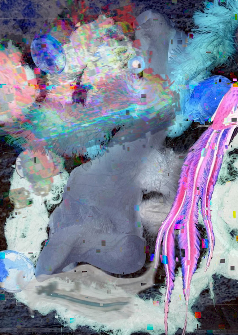 S A V V Y • Shorelines: Listening to a Voyage of Echoes