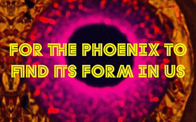 S A V V Y • FOR THE PHOENIX TO FIND ITS FORM IN US